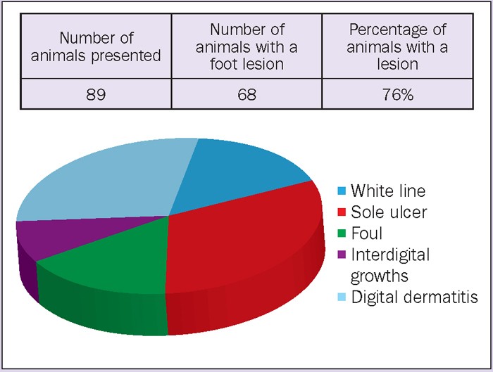 APPROACHING POOR RECORDS IN DATA ANALYSIS FOR DAIRY FARMS | Vet Times APPROACHING POOR RECORDS IN DATA ANALYSIS FOR DAIRY FARMS | Vet Times