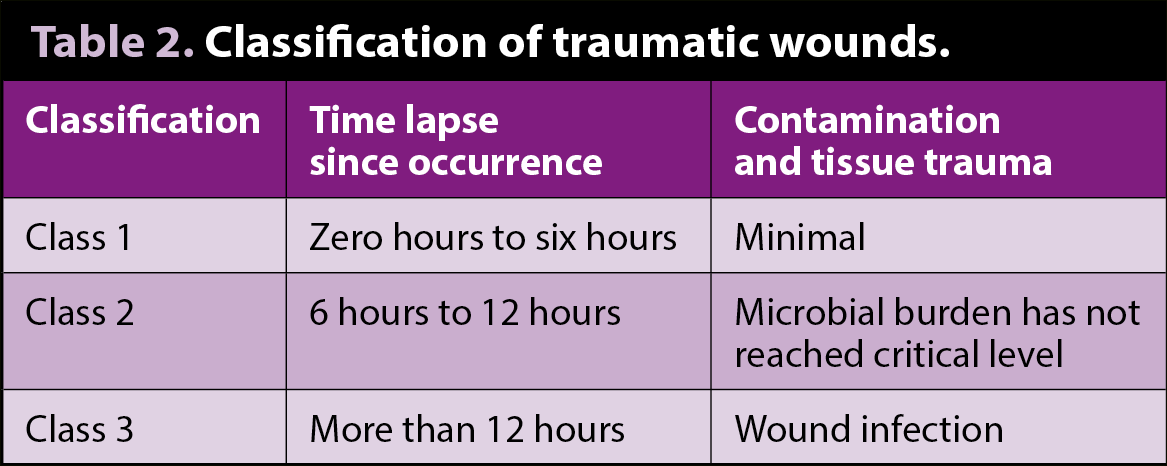 Management of traumatic and surgical wounds in cats and dogs | Vet Times