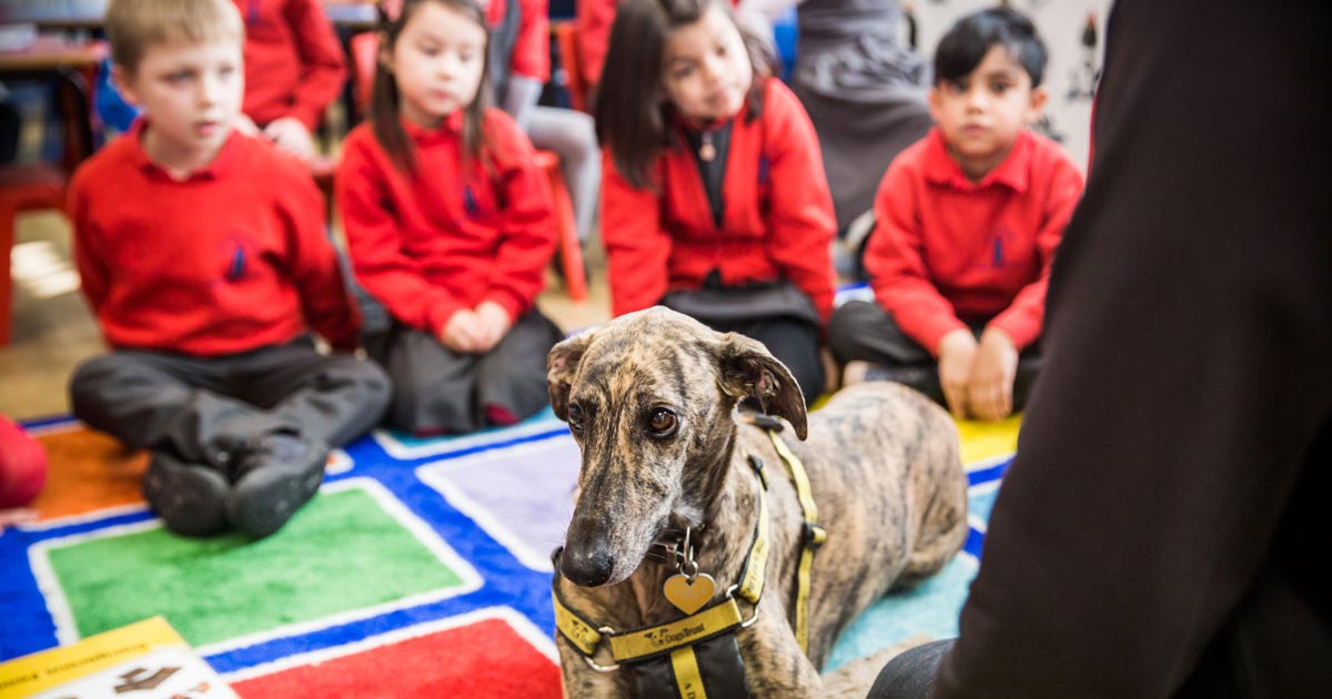 What Are The Aims Of Dogs Trust