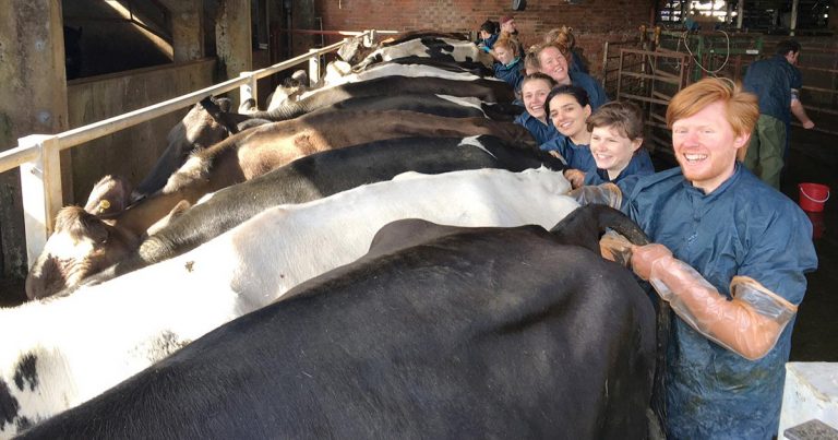 Reluctant hero: veterinary role in on-farm biosecurity | Vet Times Reluctant hero: veterinary role in on-farm biosecurity | Vet Times