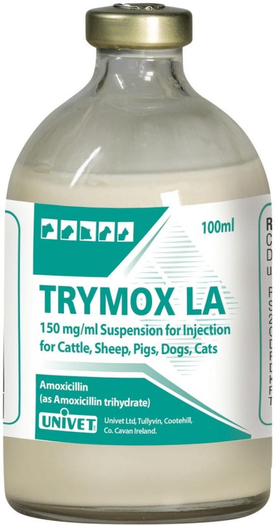 Long-acting antibiotic launches in UK