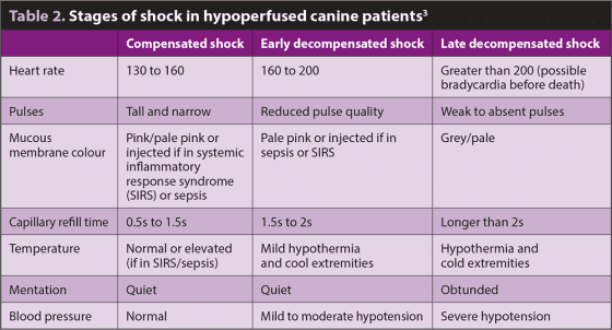 Common emergency presentations – the initial triage: as easy as ABC