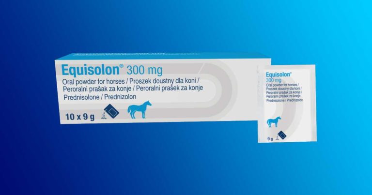 Dechra announces new Equisolon dose for equine asthma | Vet Times