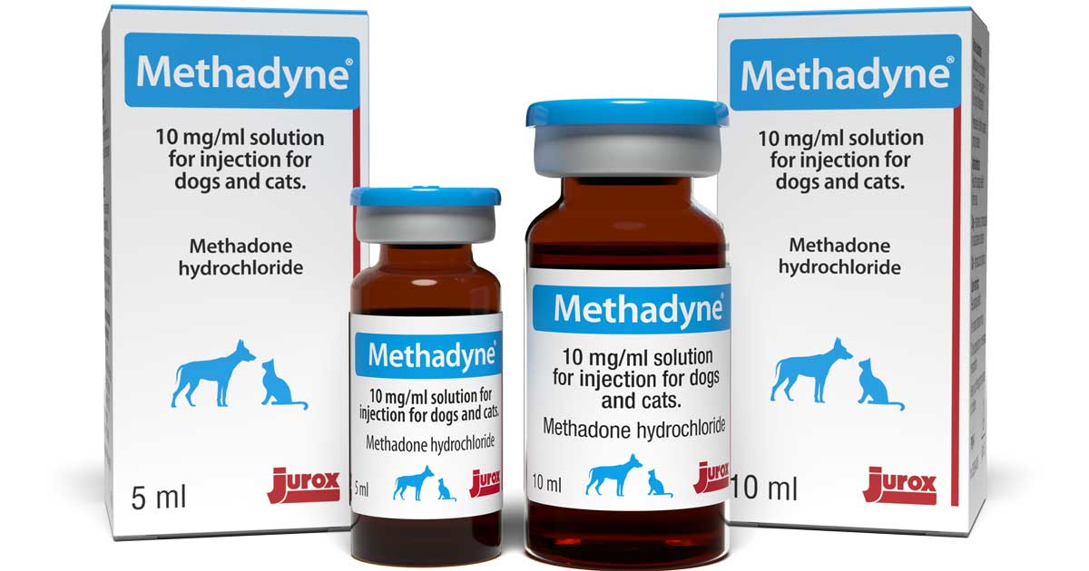 What Happens If Dogs Eat Methodone