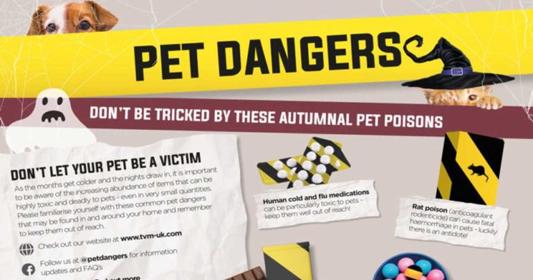 Autumn dangers poster campaign launches | Vet Times