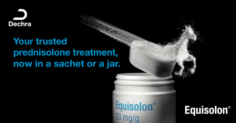 sponsored A measured approach to prednisolone treatment | Vet Times