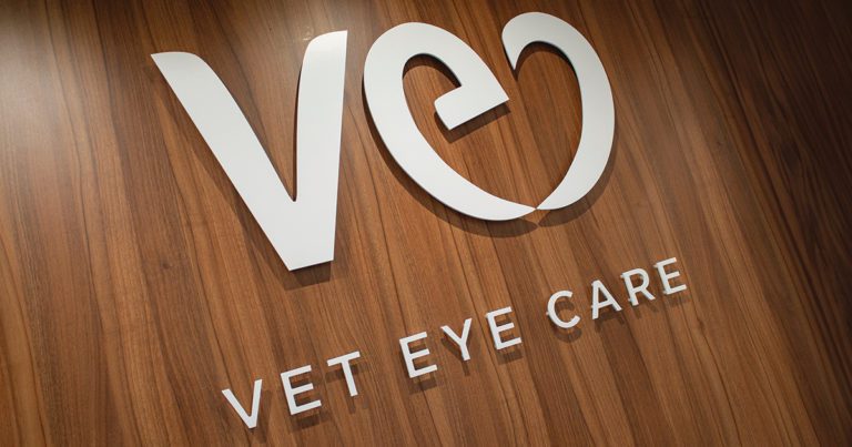Practice Profile: Vet Eye Care | Vet Times