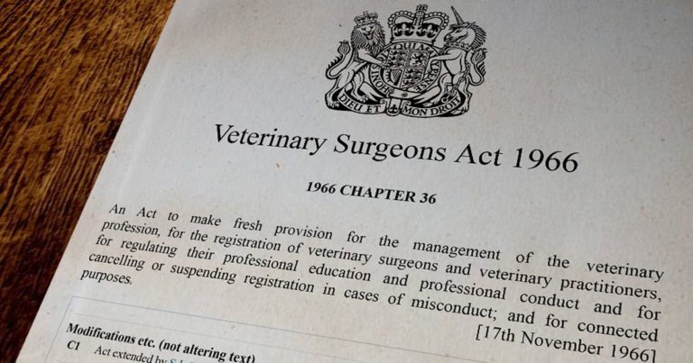 ‘Catalyst’ hope for law change from CMA review | Vet Times