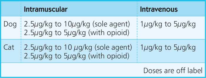 Premedication with alpha-2 agonists – procedures for monitoring ...
