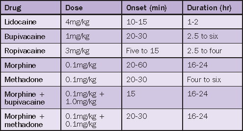 Epidural anaesthesia and analgesia | Vet Times