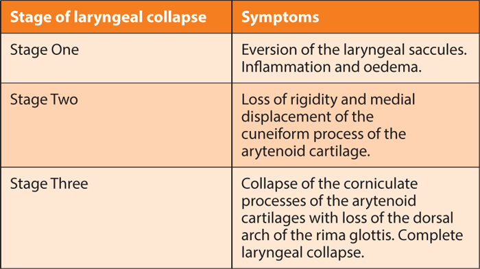 Obstructive airway syndrome in the brachycephalic dog | Vet Times