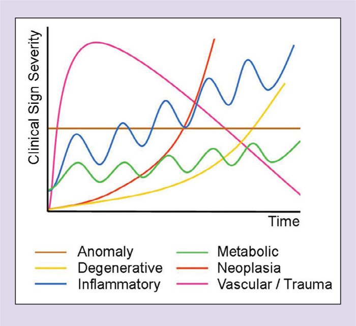 NEUROLOGICAL EXAMINATIONS: LOCALISATION AND GRADING | Vet Times