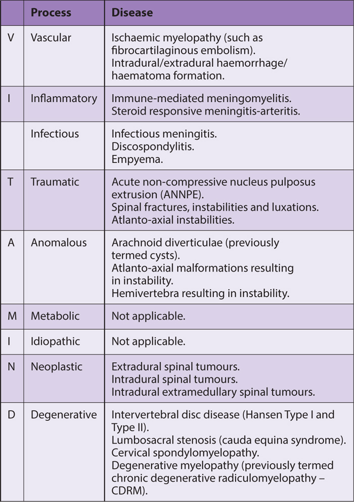 NEUROLOGICAL EXAMINATIONS: LOCALISATION AND GRADING | Vet Times