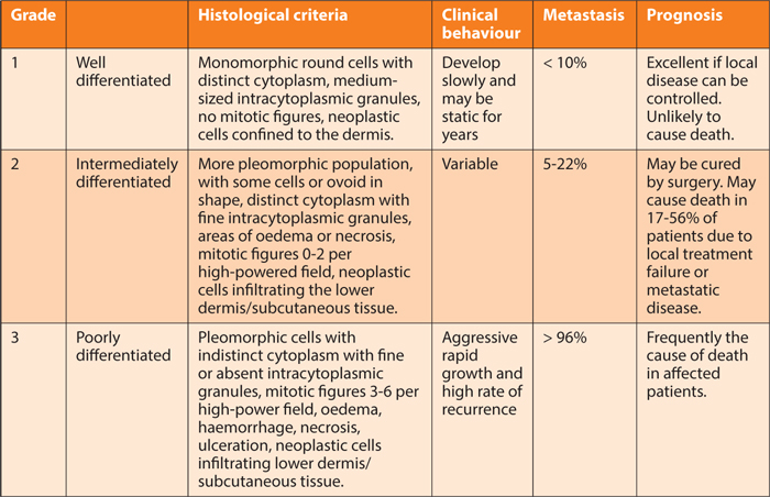 Cutaneous mast cell tumours in canines – diagnosis and staging | Vet Times